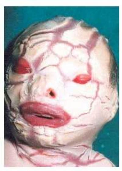 Internet Scientific Publications