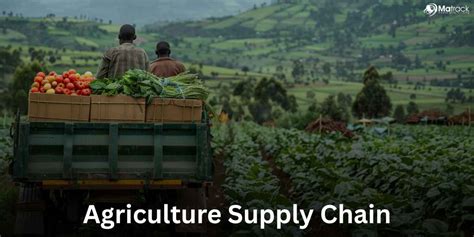 Agriculture Supply Chain Everything You Need To Know