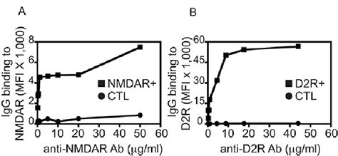 Expression Of Surface Nmdar And D2r Determined By High Throughput Flow Download Scientific