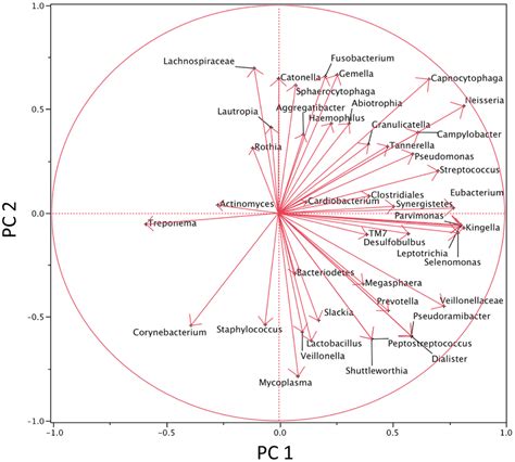 Genera Factor Loading Of Principal Component Analysis Factor Loading