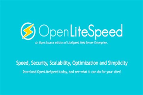Install OpenLiteSpeed Di Ubuntu Sourcecode