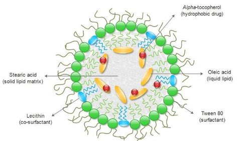 Schematic Illustration Of Alpha Tocopherol Nlc Download Scientific Diagram