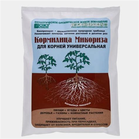Микориза Кормилица 30 г 1 шт корнеобразователь для всех растений ...