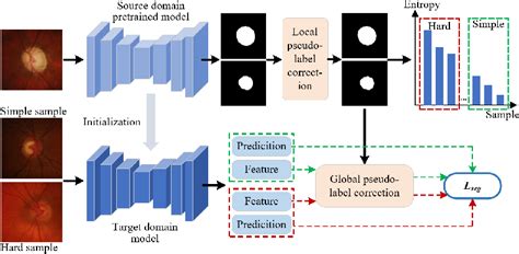 Figure From Local Global Pseudo Label Correction For Source Free Domain Adaptive Medical Image