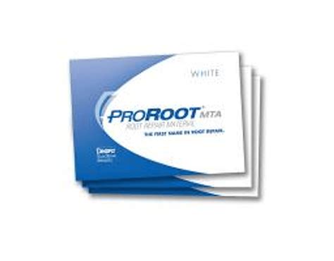 Proroot Mta