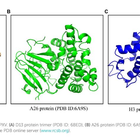 Molecular Docking Of Silibinin Oleanolic Acid And Ursolic Acid