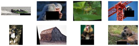 Python自动人工智能训练数据增强工具 Dali介绍含代码 Csdn博客