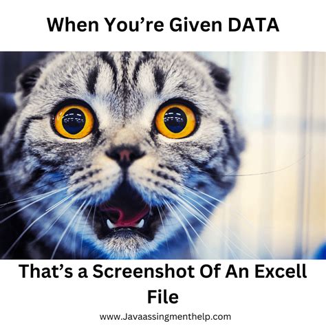 Data Science Assignment Help Rknowledgecenter
