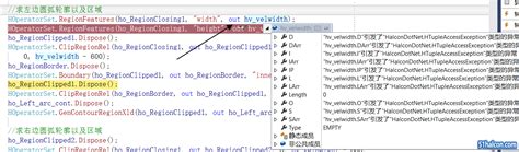 引发了 HalconDotNet HTupleAccessException 类型的异常 Halcon软件 Halcon视觉技术网