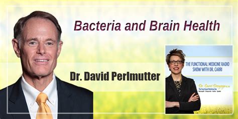 Bacteria And Brain Health With Dr David Perlmutter — The Functional