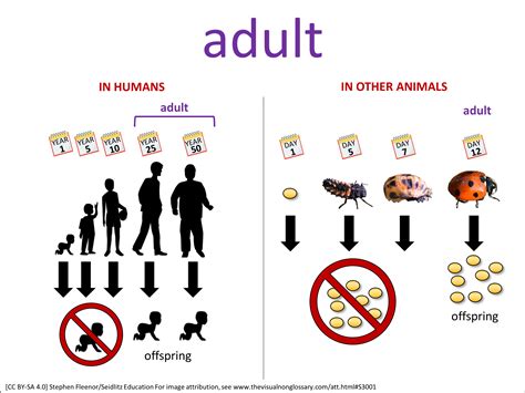 science visuals the visual non glossary