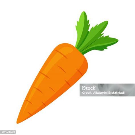 식사 요리용 당근 야채 디자인을 위해 흰색으로 분리된 밝은 요소 건강관리와 의술에 대한 스톡 벡터 아트 및 기타 이미지 건강관리와 의술 건강한 생활방식 건강한 식생활
