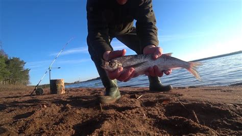 ловля на резинку Добрая классика и новейшая концепция Рыбалка с ночёвкой Youtube