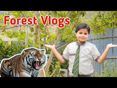 Forest Vlogs | Mr. Sangam | My First Vlog - YouTube