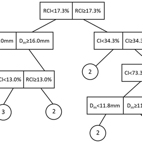 Best Binary Tree Model Btm To Discriminate Rap In 5 Classes Btm5 In