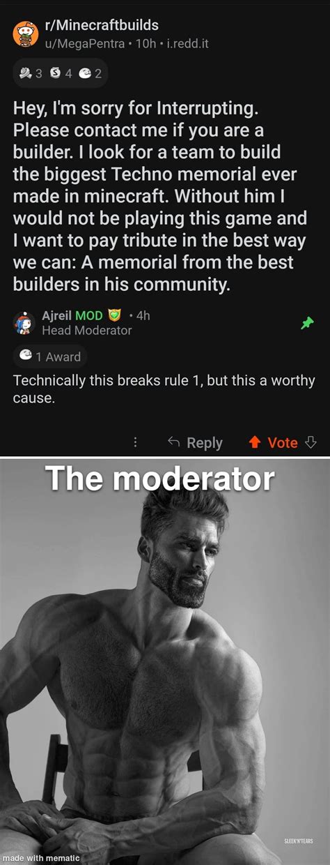 Respect For The R Minecraftbuilds Moderator R Technoblade