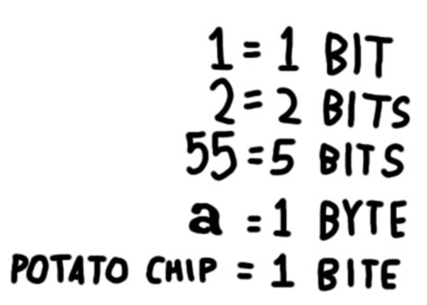 Computational Complexity Explained Through Songs The Adder