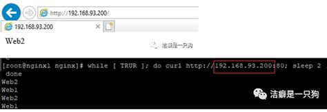 lvs keepalived nginx web 四七层负载及高可用集群构建 74层负载架构图 csdn博客