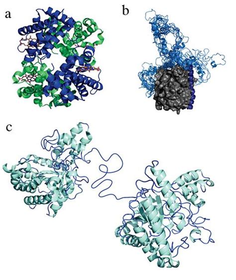 Intrinsically Disordered Proteins Physics Today Aip Publishing