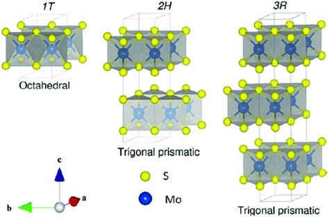 Unit Cell Structure Of Various Polymorphs Of Mos2 Reprinted With
