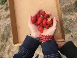 Pleasure Female Centric For A Wonderful Sex Life Dr Anya San Francisco Bay Area Sex