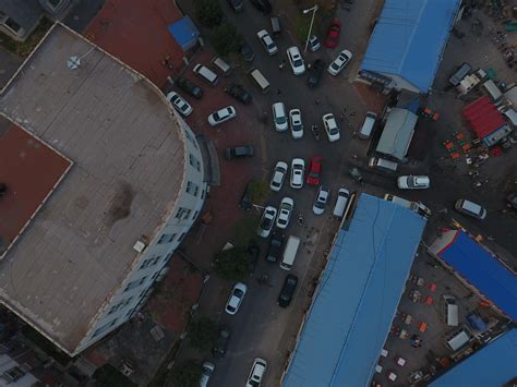 Gatesla Object Detection With Detr And Yolos At Main