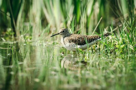 1 000 000 张最精彩的“岸边擦啊岸边擦吧一天岸边擦岸边擦陈吧一天”图片 · 100 免费下载 · Pexels素材图片