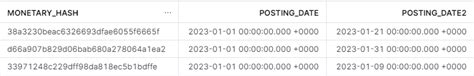 Monthly Partitioning Changes Partition Column Value Dataiku Community