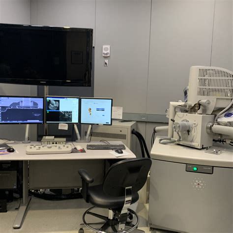 How To Get Involved With Lab Based Research At Princeton Princeton Correspondents On