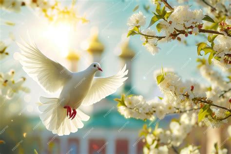 Una Paloma Blanca Está Volando En El Cielo En Los Rayos Del Sol Ligero