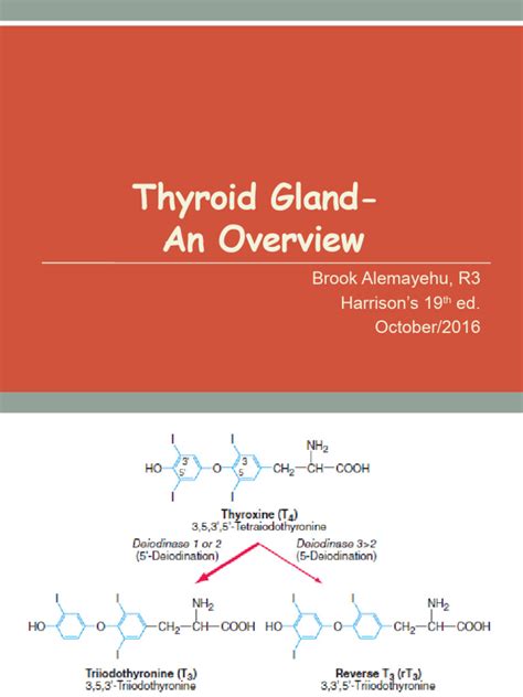 Thyroid Disorders An Overview Pdf Thyroid Stimulating Hormone