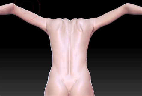 Her Shield Polycount