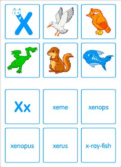 Animals Starting With X Printable Resources