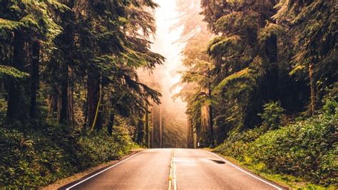 Uk Consults On Sector Specific Guidance For Climate Transition Plans A