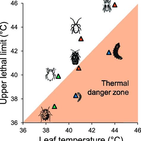 Leaf Temperature During Extreme Air Temperature Conditions Accounts For