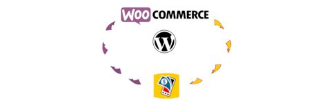 Payment Gateway For Mtn Momo On Woocommerce Plugin —