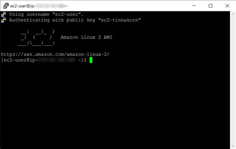 วิธีติดตั้ง amazon linux บน ec2 และเชื่อมต่อเซิร์ฟเวอร์ด้วยโปรแกรม