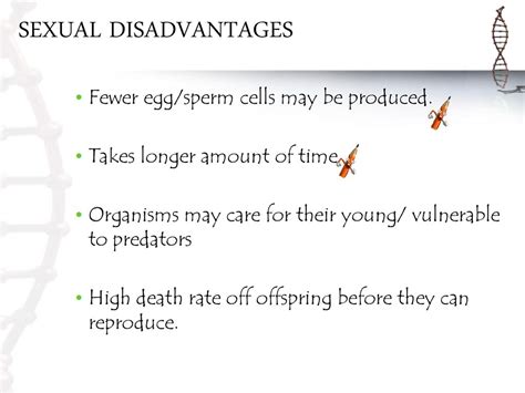 Asexual And Sexual Reproduction Ppt Download