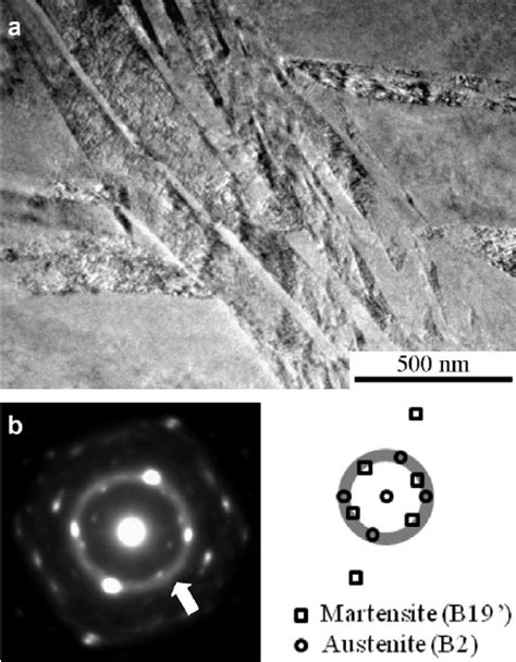 A Plane View Tem Micrograph Acquired From The Smat Niti Alloy At Download Scientific Diagram