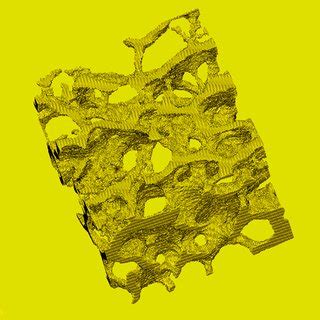 PDF Matrix Free Voxel Based Finite Element Method For Materials With Heterogeneous Microstructures