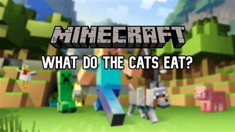 What Do Minecraft Cats Eat The Ultimate Guide RPG Overload