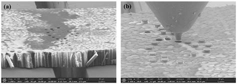 Effect Of Fibermatrix Interface Friction On Compressive Strength Of High Modulus Carbon