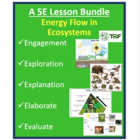 Energy Flow In Ecosystems Complete E Lesson Bundle Energy Flow Ecosystems Lesson