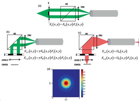 A Optical Path Of Illumination Light B Optical Path Of Light That Download Scientific