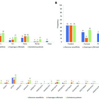 Simple Sequence Repeats SSRs And Long Repeat Sequences Identified In Download Scientific
