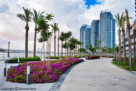 جهاز مدينة العلمين الجديدة