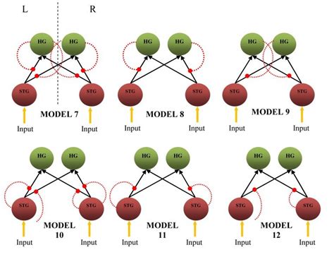 six nonlinear causal models having connections gated by the activity in