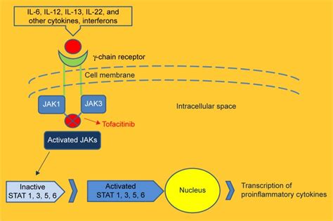 Profile Of Tofacitinib Citrate And Its Potential In The Treatment Of