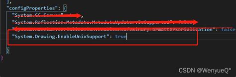 Netcore Systemdrawingcommon 发布，在centos 运行报错not Souport On Non Window Platform Csdn博客
