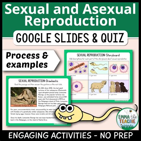Sexual And Asexual Reproduction Doodle Notes Emmatheteachie